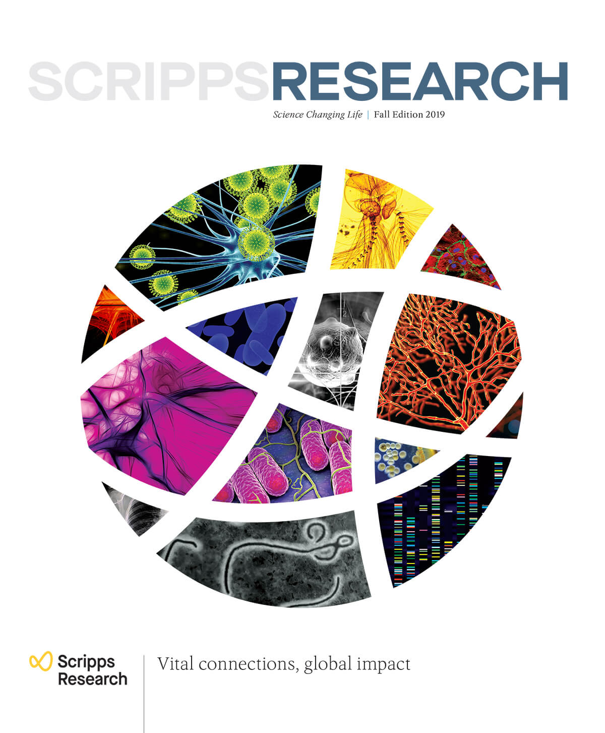 Fall 2019 - Scripps Research Magazine