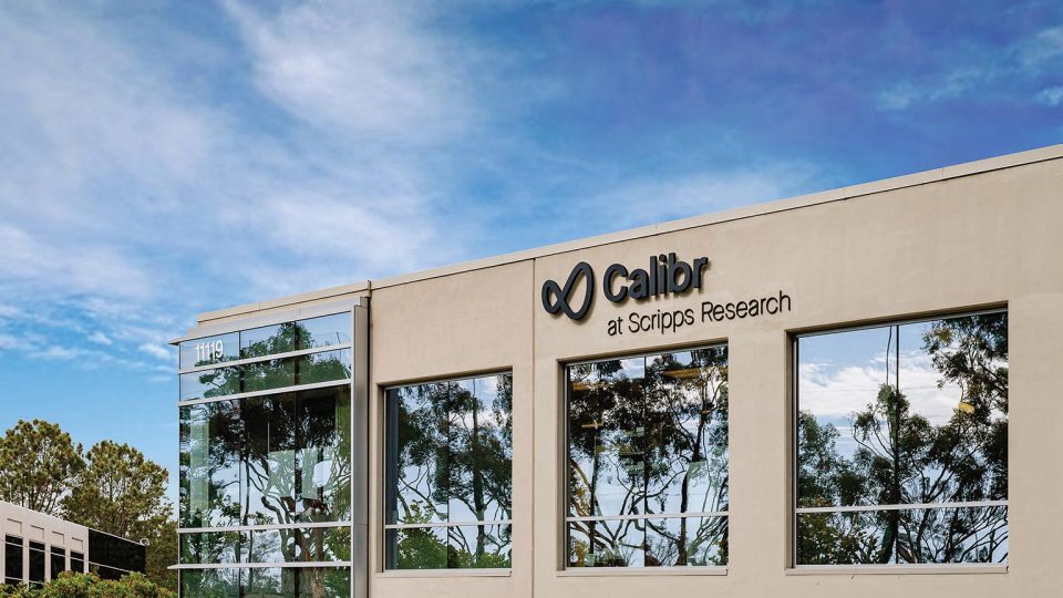 Calibr partners with Wellcome Trust to create consortium for neglected ...