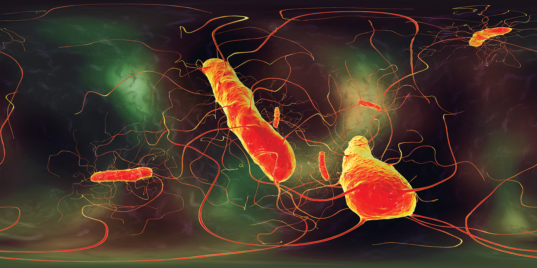 Ozanimod, already approved for MS, under expedited FDA review for ...