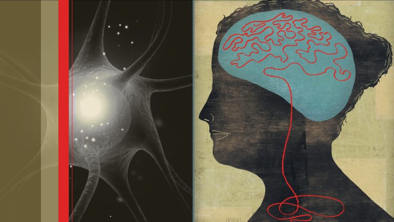 Rejuvenating the aging brain - Scripps Research Magazine