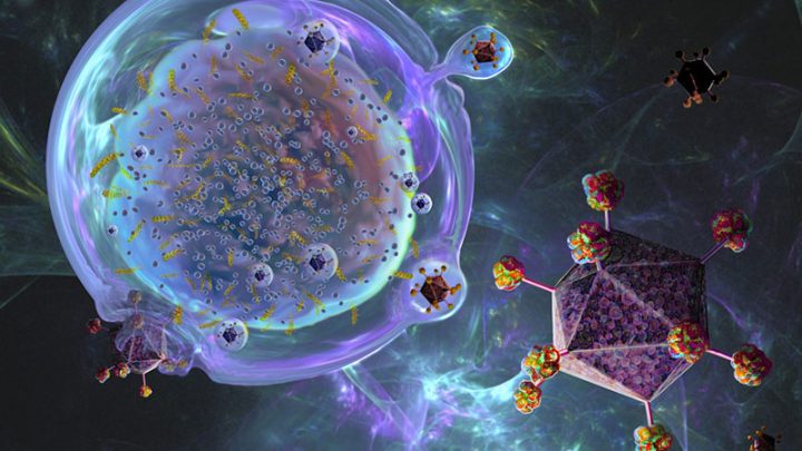 Calibr reports promising results from first-in-human clinical trial of ...